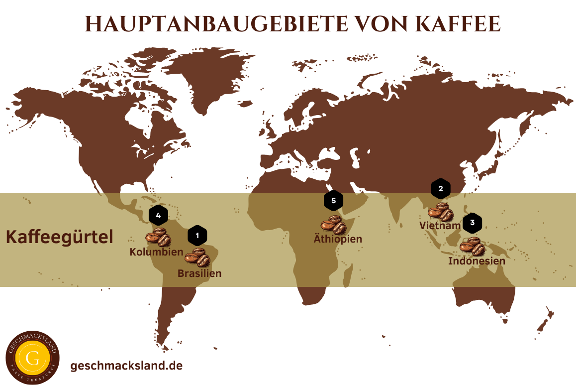 Kaffee entdecken - Sorten, Anbau und Geschmack